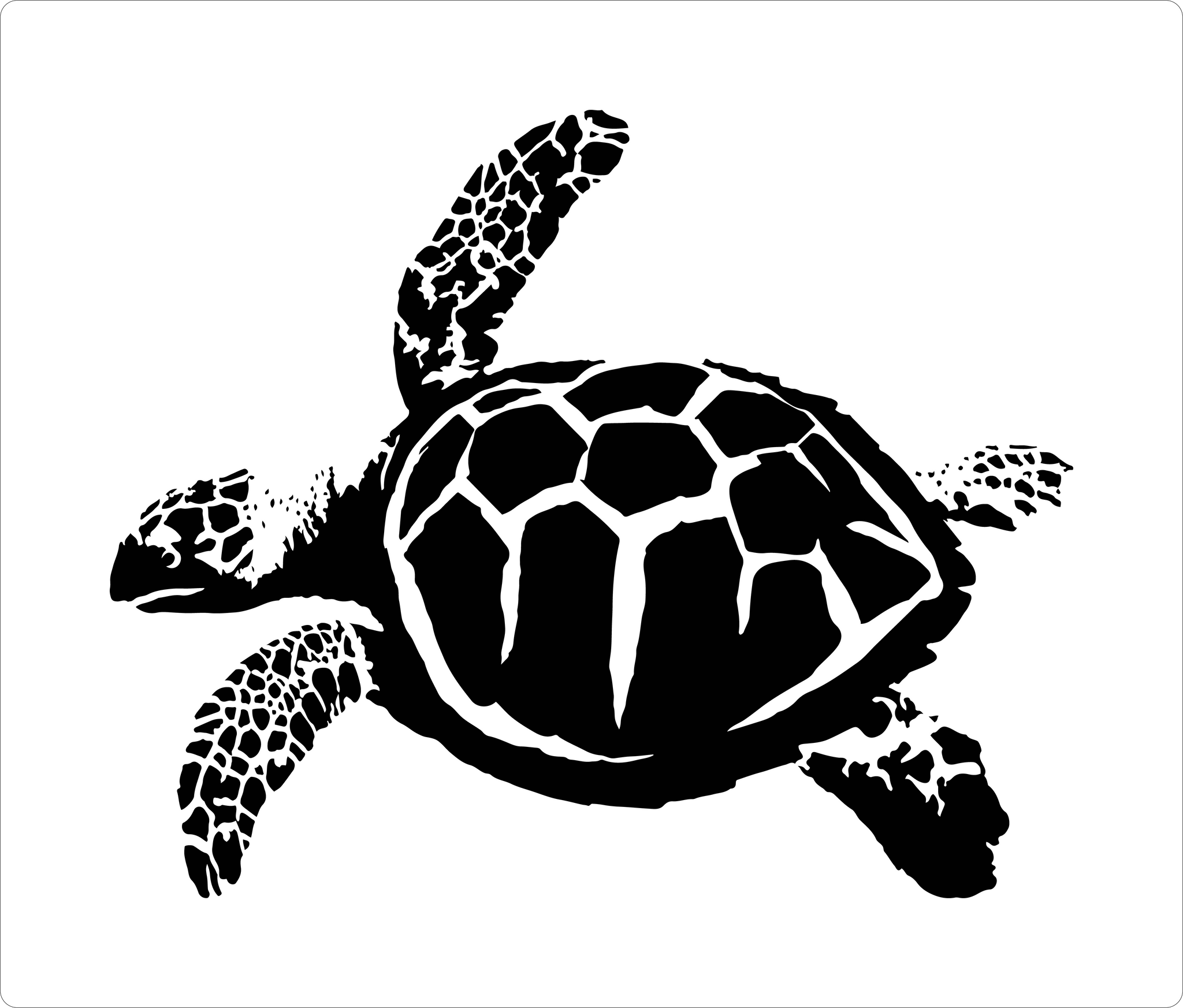 Turtle Stencil 1 – Stencil Warehouse